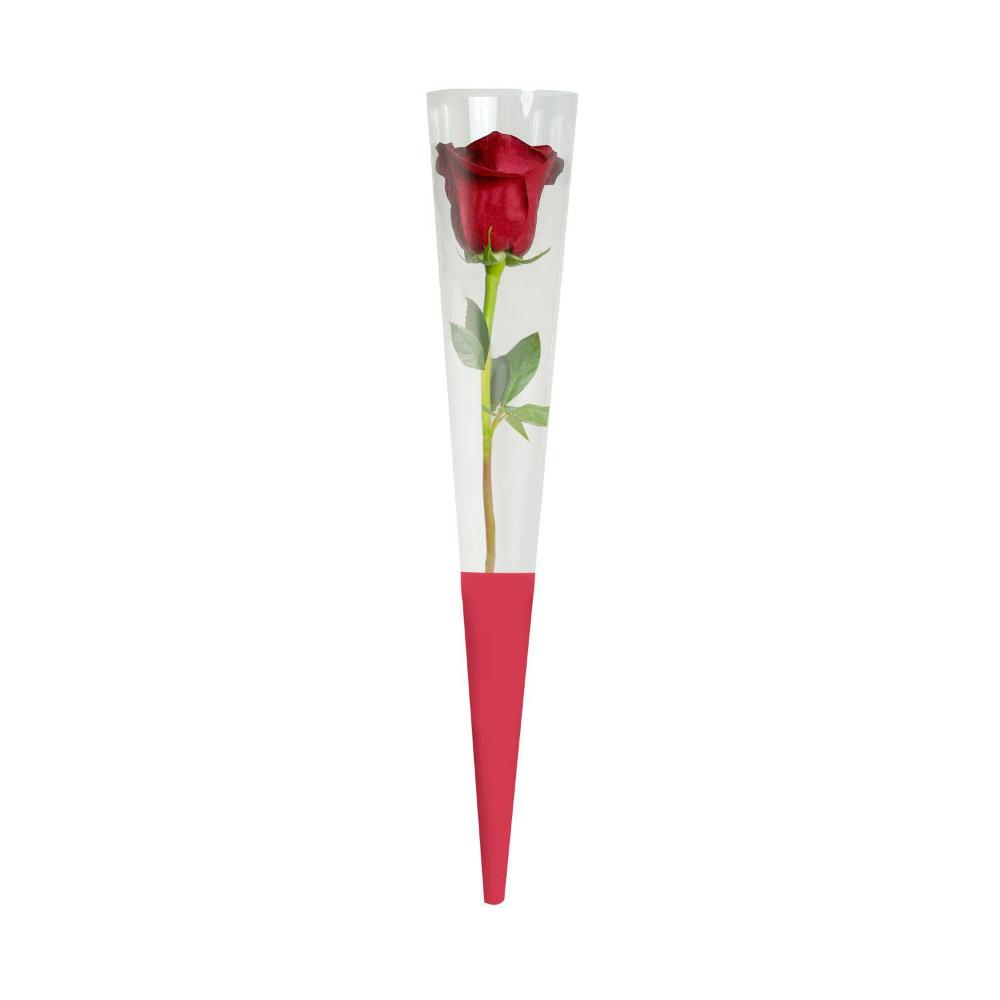 Buy Coles Single Red Rose 1 Each | Coles