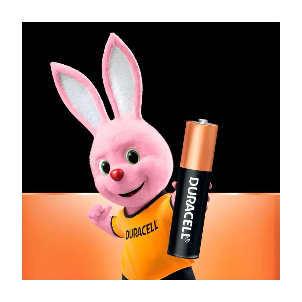 Buy Duracell Coppertop AAA Batteries 20 pack Coles