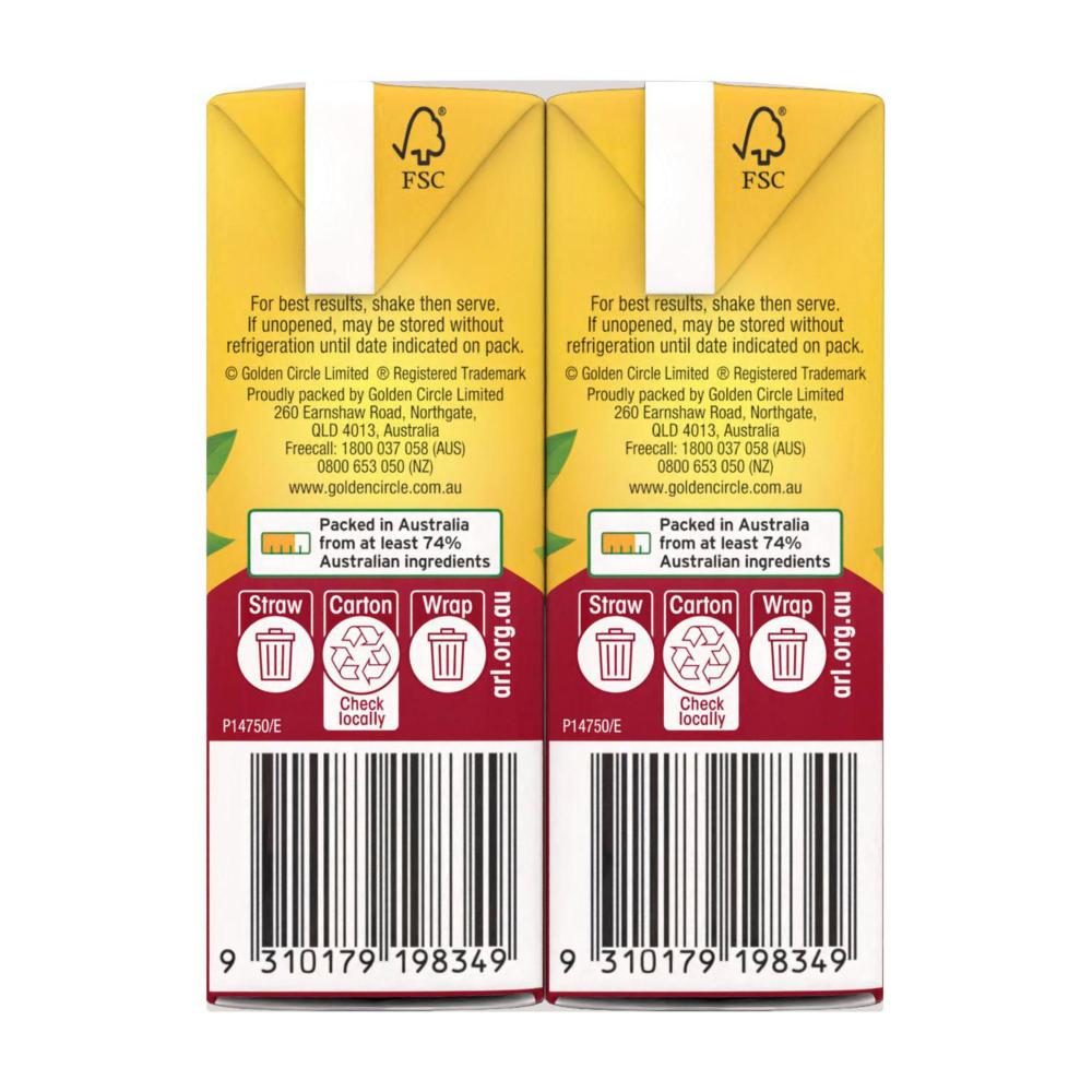 Buy Golden Circle Apple Raspberry Drink Tetra 250mL 6 pack | Coles