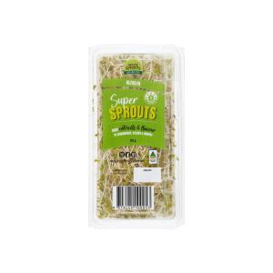 Buy Alfalfa Sprouts Prepacked 125g | Coles