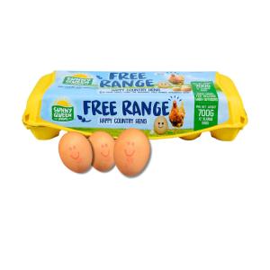 Buy Sunny Queen Free Range Extra Large Eggs 12 pack 700g | Coles
