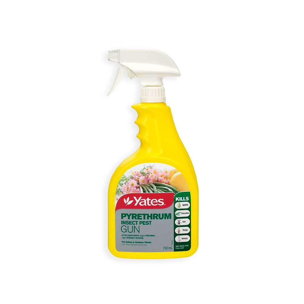 Buy Yates Pyrethrum Garden Insect Spray 750mL | Coles